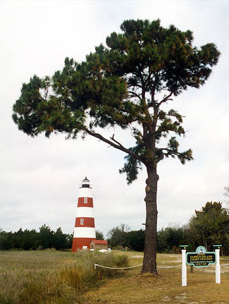 Sapelo Island Lighthouse, Georgia at Lighthousefriends.com